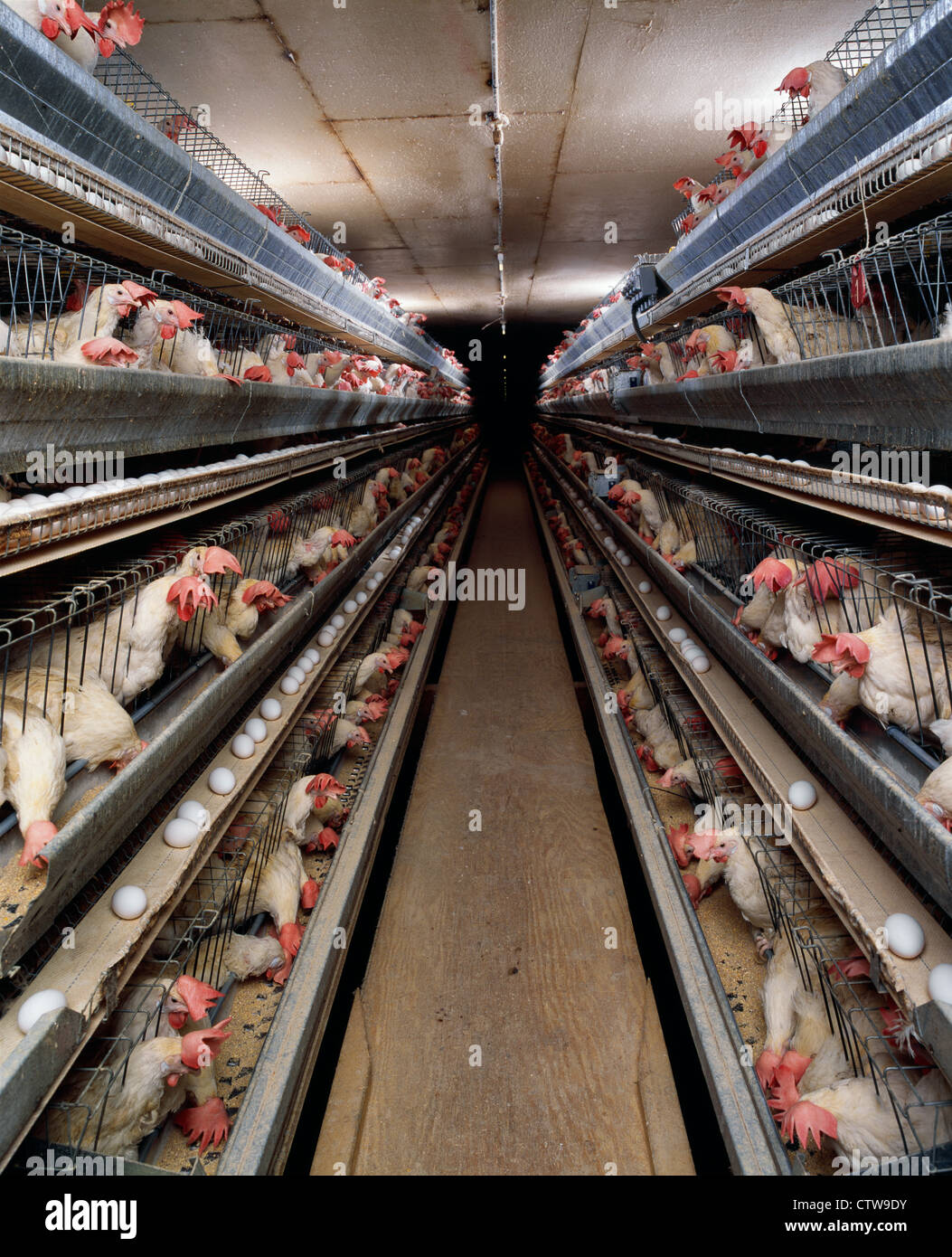 Operation deck house hi-res stock photography and images - Alamy