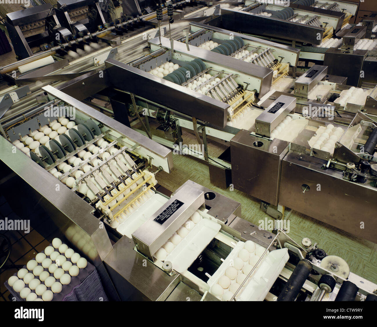 COMPUTERIZED EGG PROCESSING AND PACKAGING Stock Photo - Alamy
