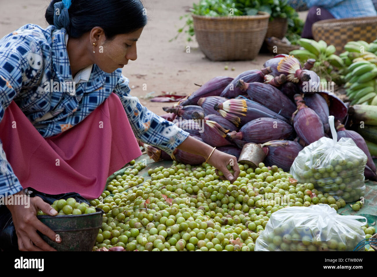 Myanmar, Burma. Woman Selecting Fruits in the Bagan Market Stock Photo ...