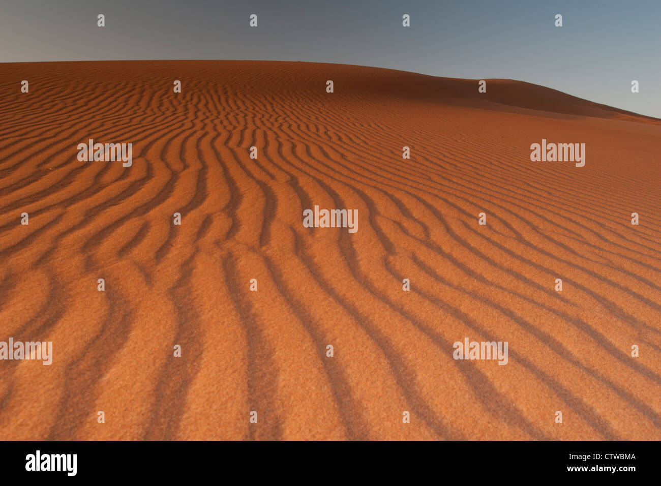 Low Angle Arabian Sand Dune Stock Photo - Alamy