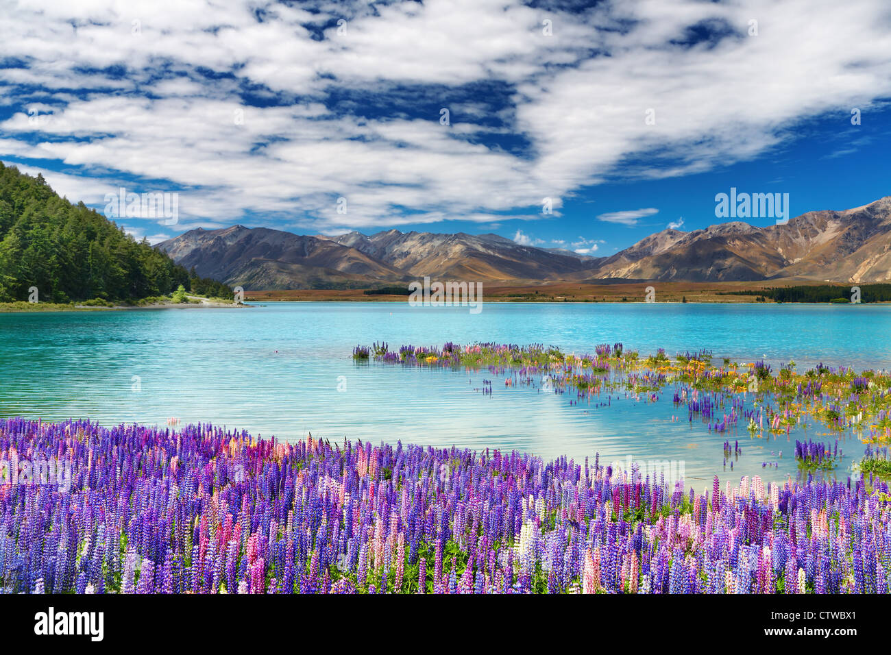 New zealand lake tekapo hi-res stock photography and images - Alamy