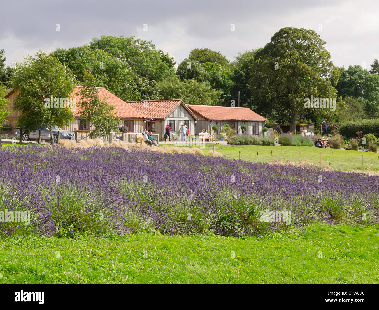 Café and shop at Yorkshire Lavender Terrington York UK Stock Photo - Alamy