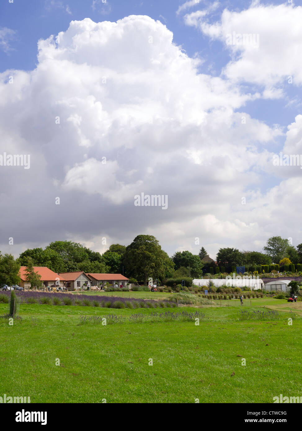 Terrington yorkshire hi-res stock photography and images - Alamy