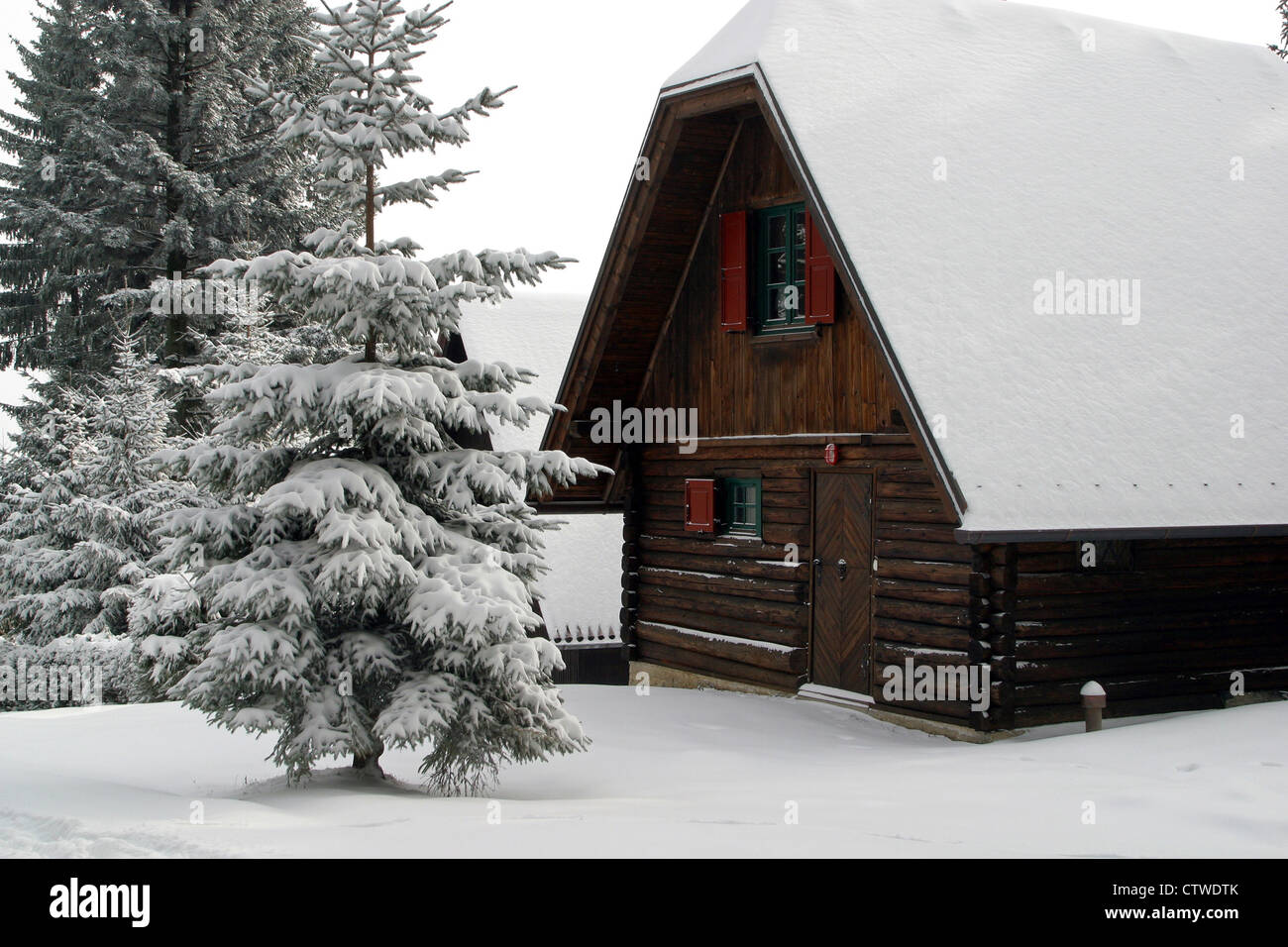 House covered in snow in winter Stock Photo - Alamy