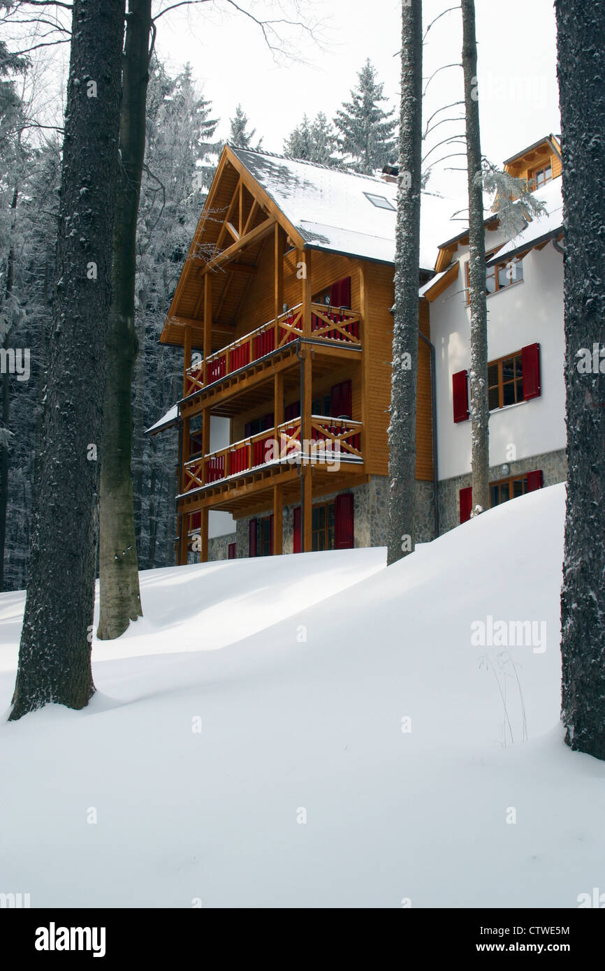House covered in snow in winter Stock Photo - Alamy