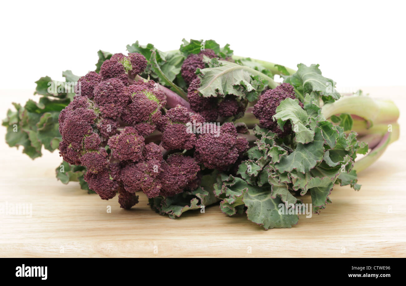 Purple sprouting broccoli - shallow depth of field - studio shot with a ...