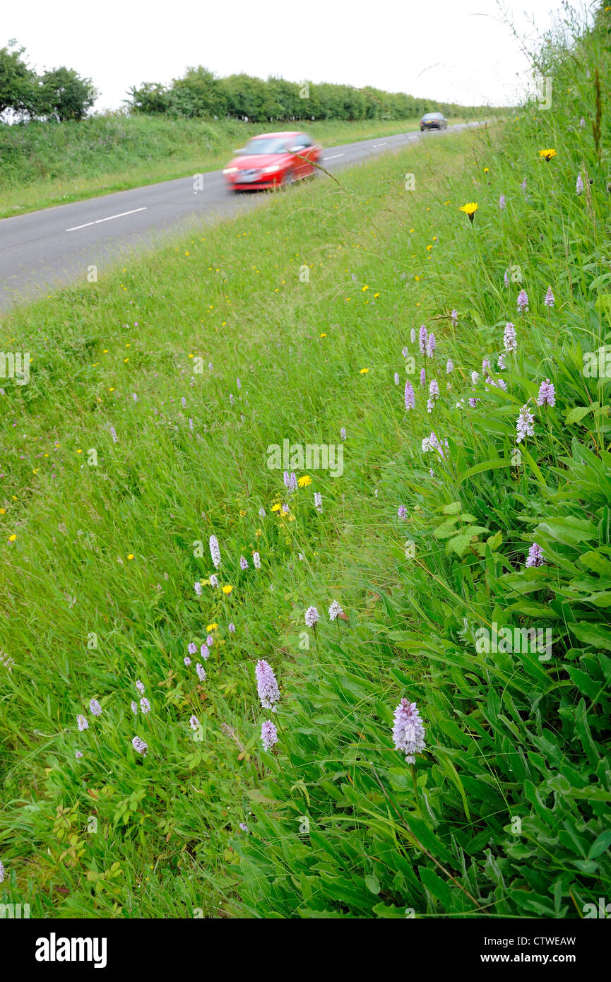 Roadside nature reserves hi-res stock photography and images - Alamy