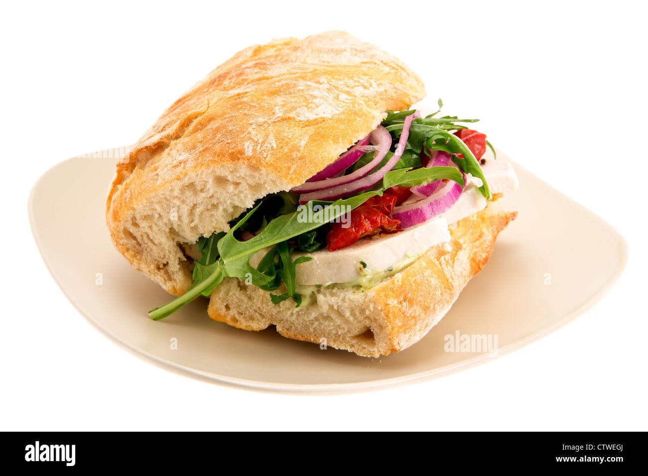 Pesto Chicken Sandwich Ciabatta at Mary Lockridge blog