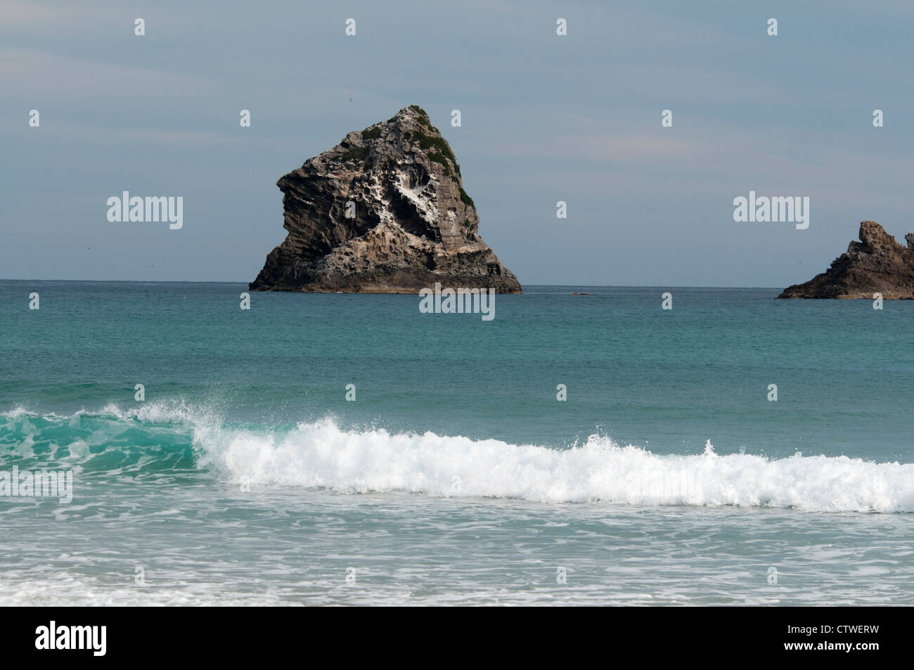 Sandfly Bay is a well-known beach at the Pacific coast of Otago ...