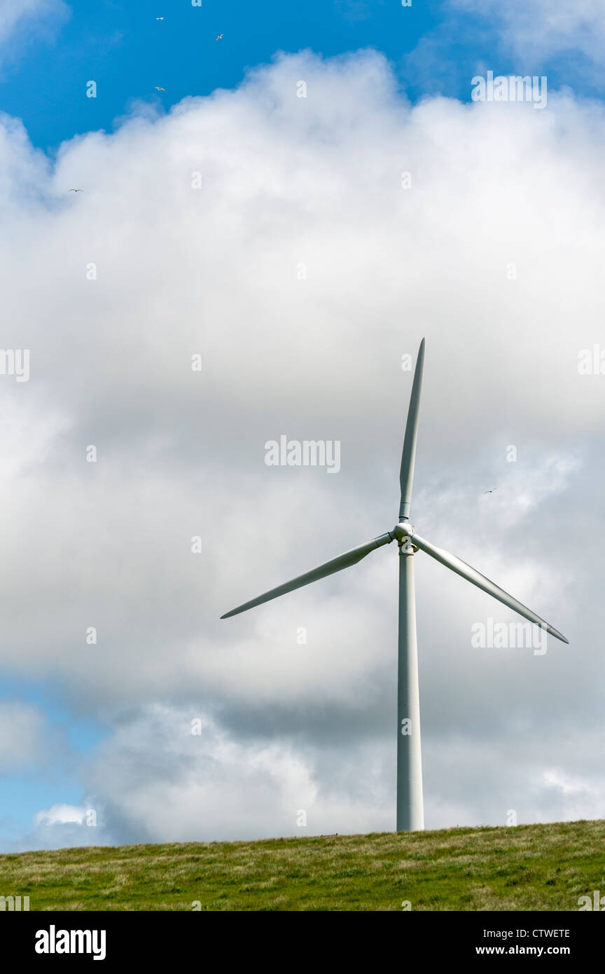 Wind farm, wind turbine in Cornwall UK Stock Photo - Alamy
