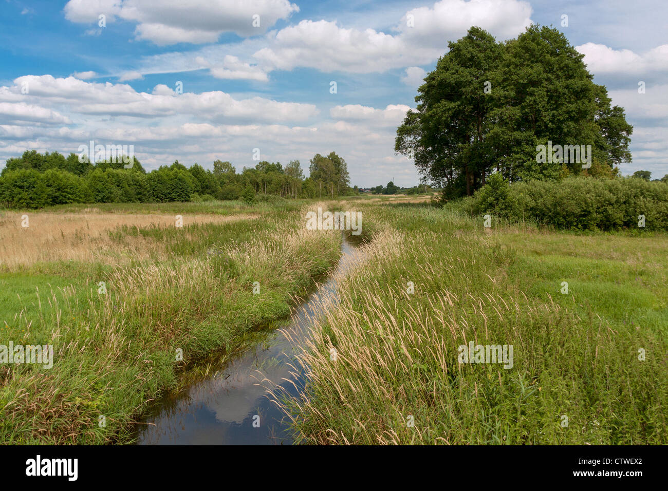 Rural river in Poland Stock Photo - Alamy
