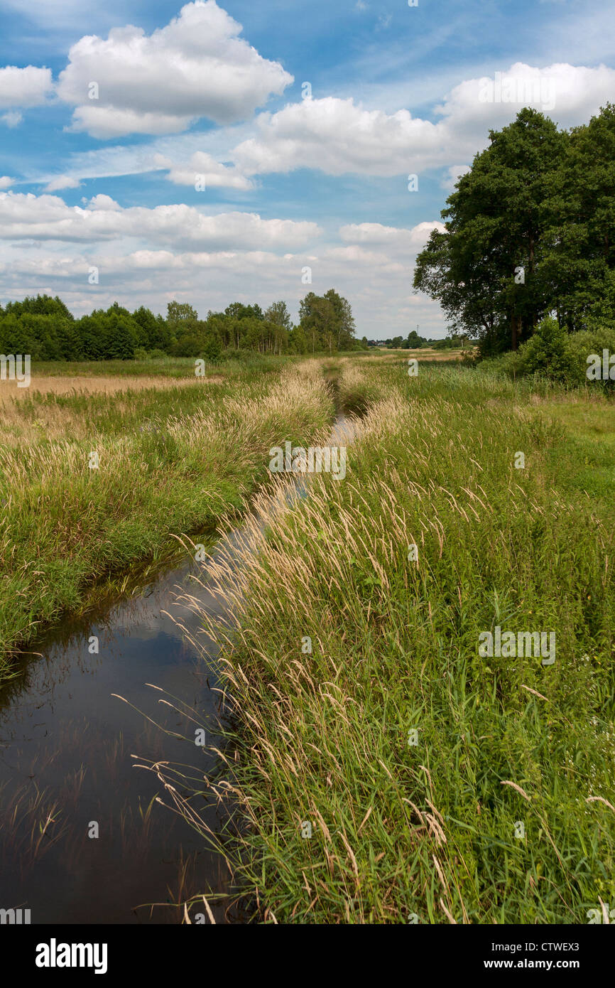 Rural river in Poland Stock Photo - Alamy