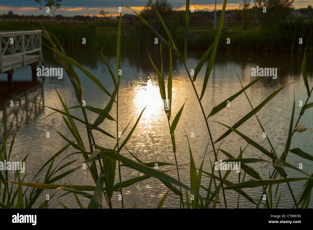 Sunrise over a pond Stock Photo - Alamy