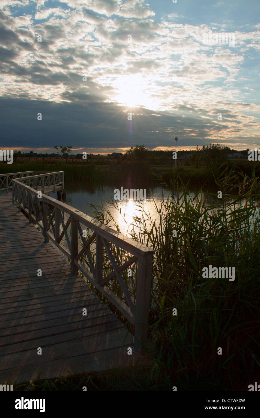 Sunrise over a pond Stock Photo - Alamy