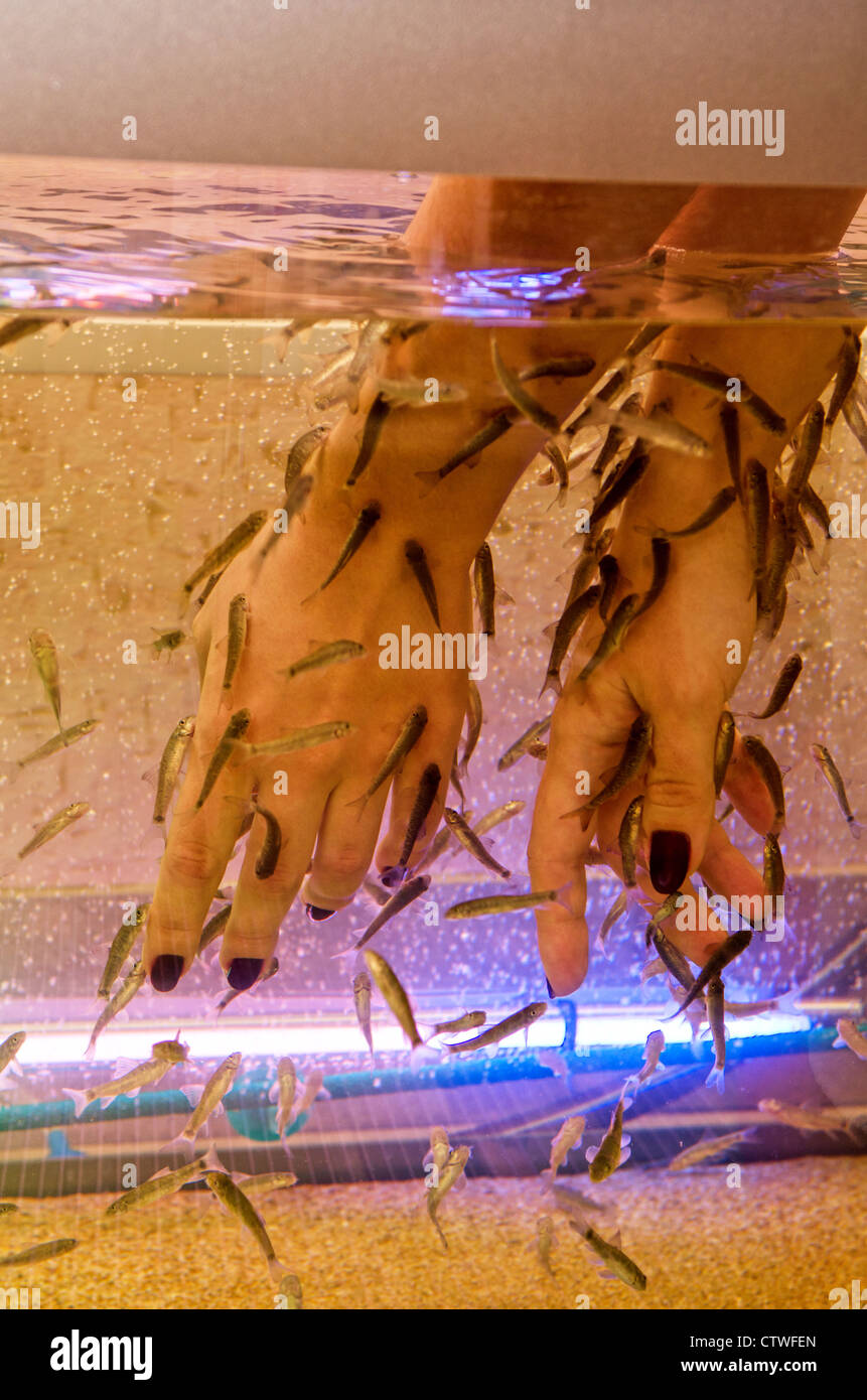 Fish therapy for skin of hand at spa Stock Photo - Alamy