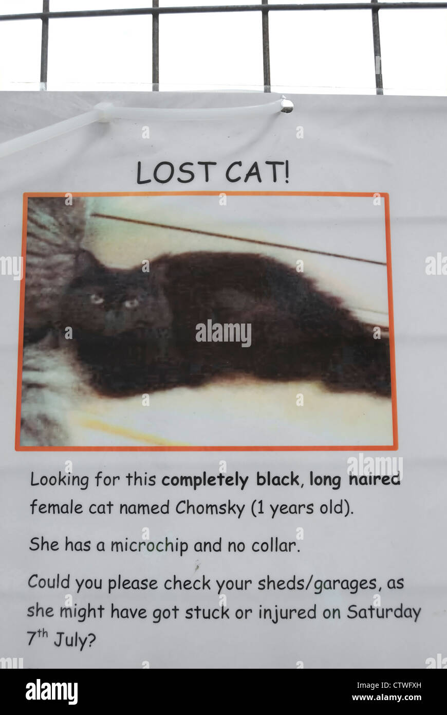 Lost cat notice hi-res stock photography and images - Alamy