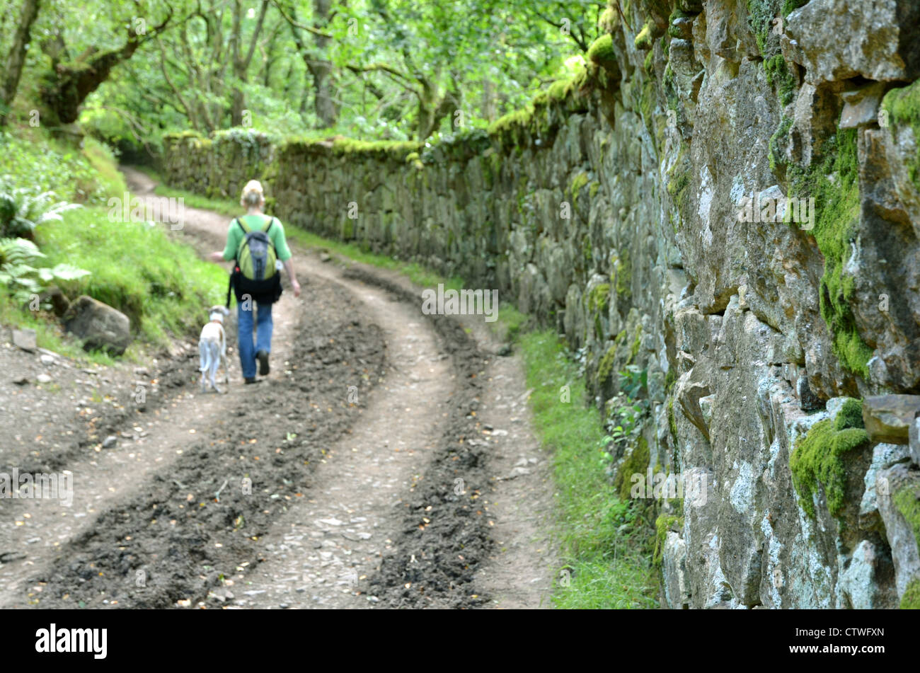 Track And Stone Wall High Resolution Stock Photography and Images - Alamy