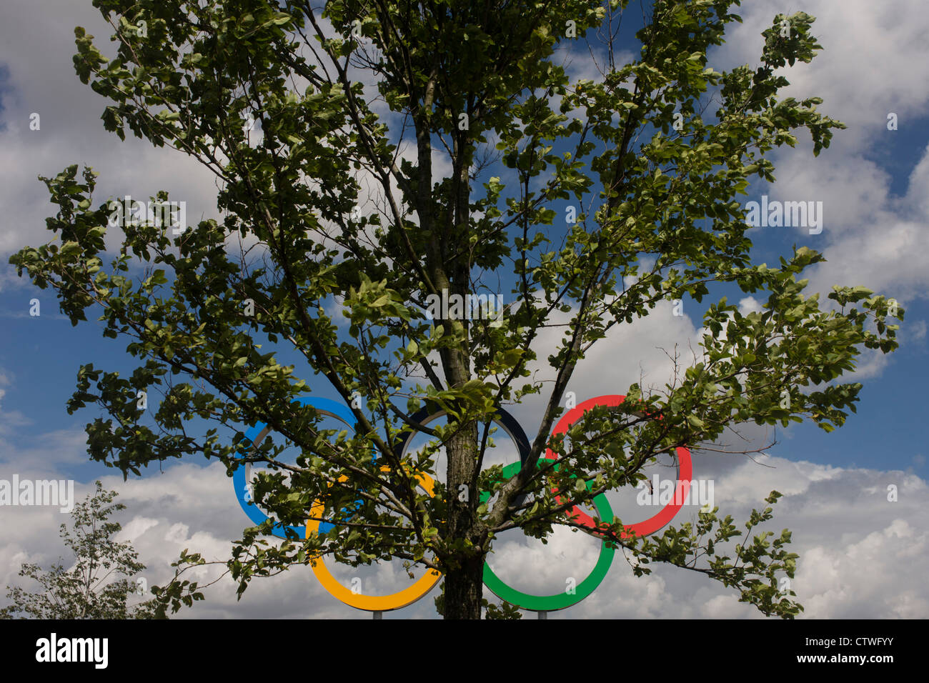 Giant Olympic rings seen behind a tree located on a hill in the Olympic ...