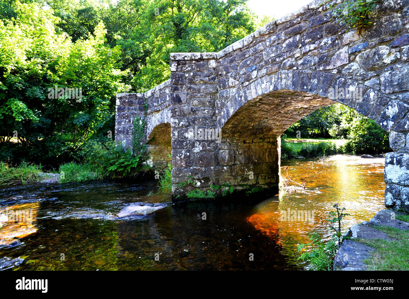 Fingle bridge woods hi-res stock photography and images - Alamy