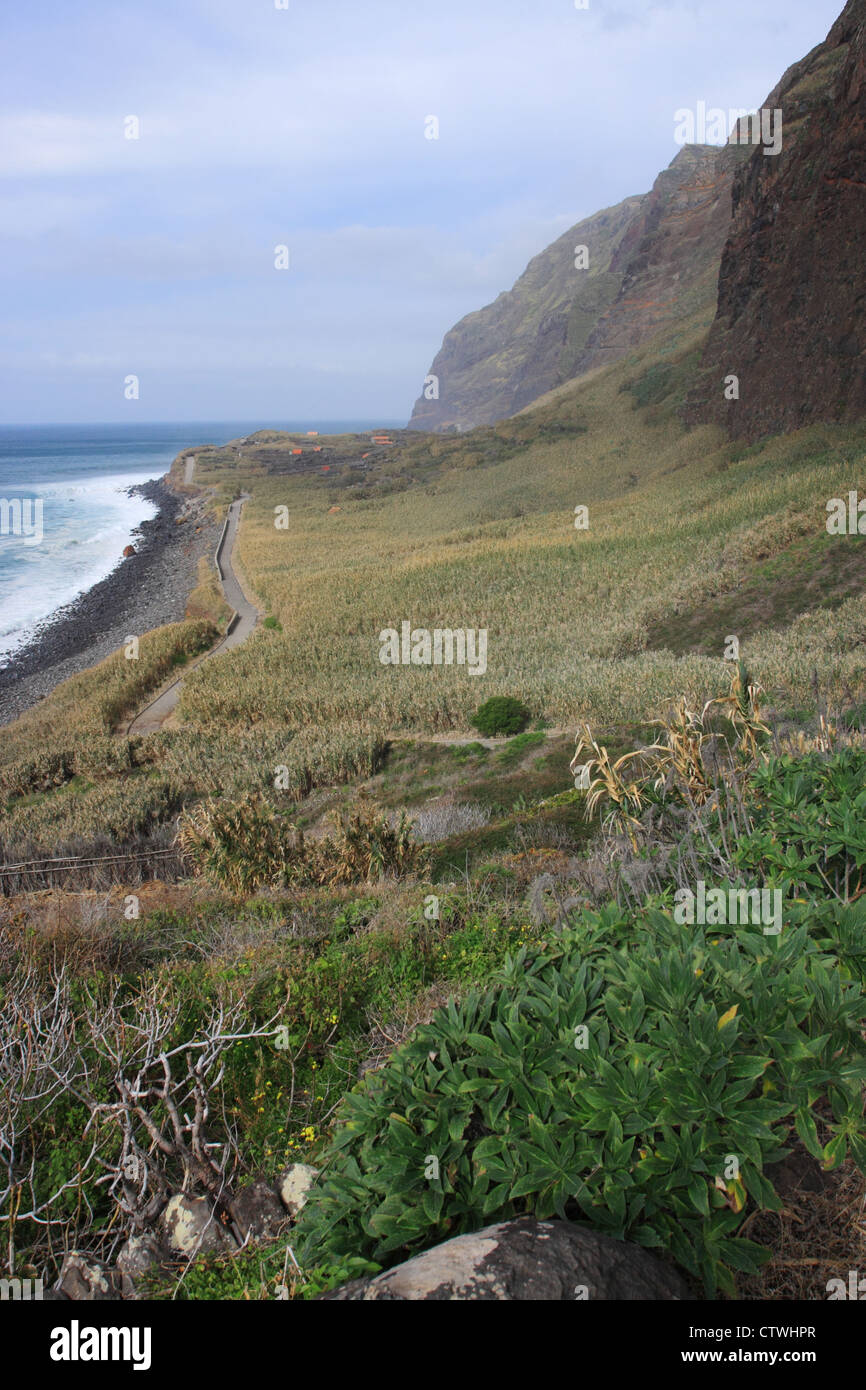 Seashore of western Madeira, Portugal Stock Photo - Alamy