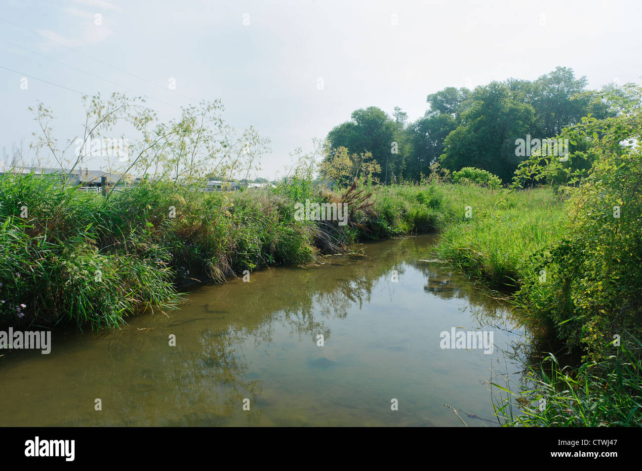 Riparian buffer hi-res stock photography and images - Alamy