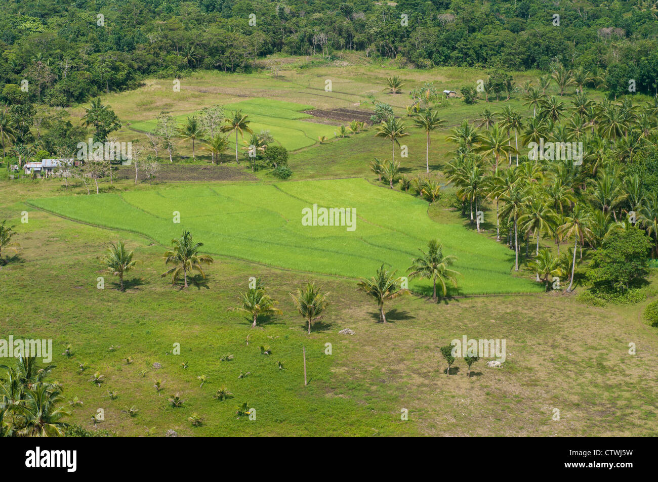 Philippines landscape field hi-res stock photography and images - Alamy