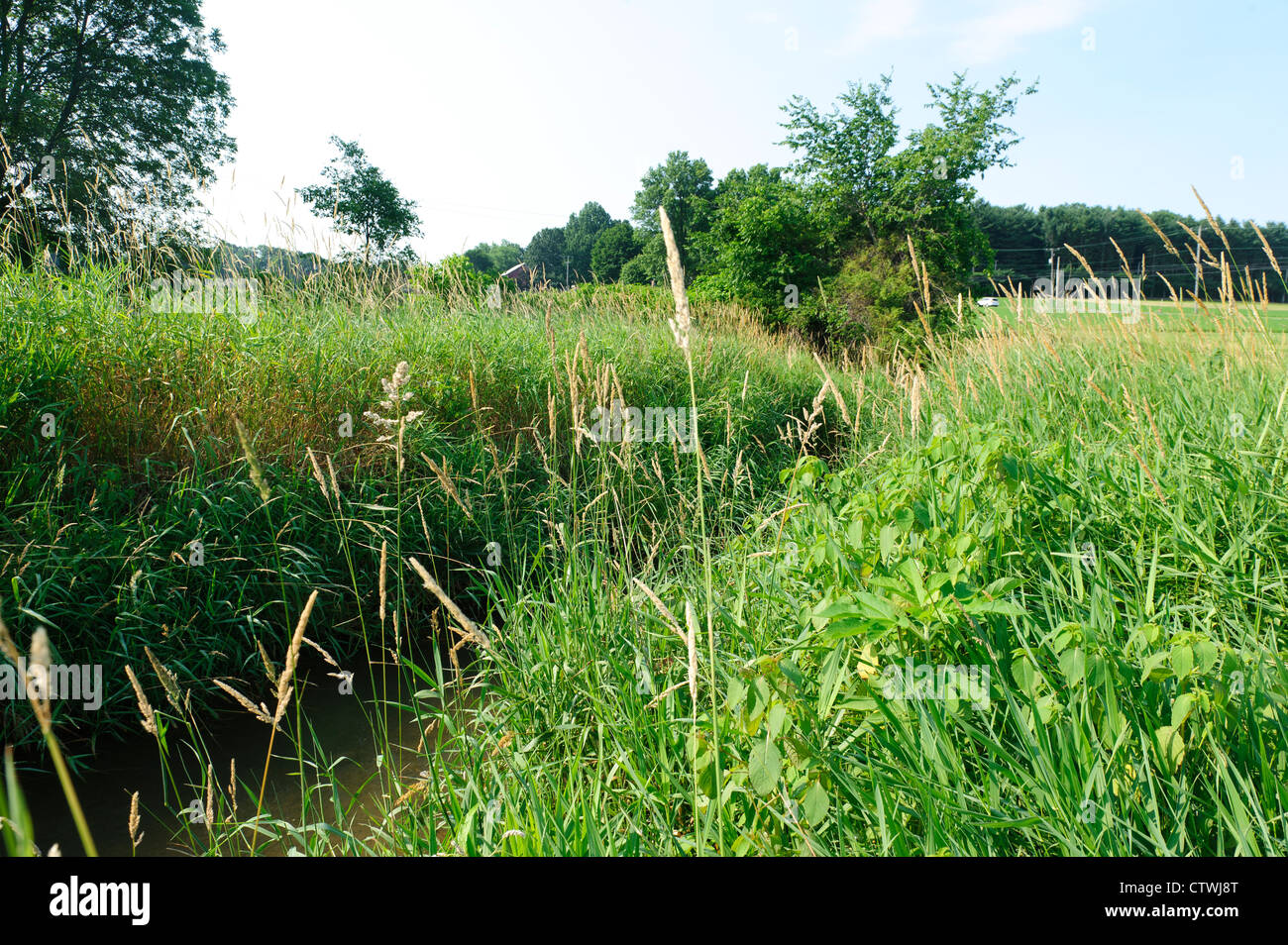 Buffer Strip Stock Photos & Buffer Strip Stock Images - Alamy