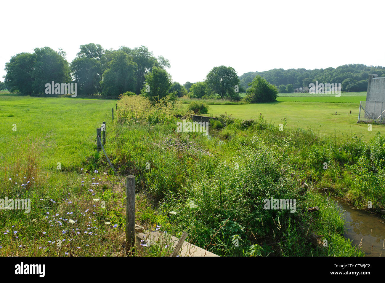 RIPARIAN BUFFER GROWTH AND STREAM SIDE FENCING ALONG BANKS OF SWARR RUN ...