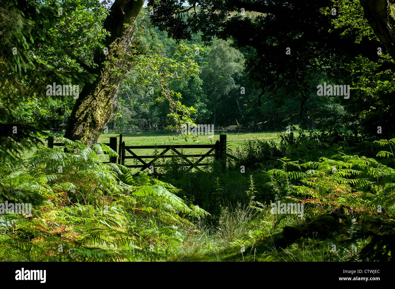 Uk field gate hi-res stock photography and images - Alamy