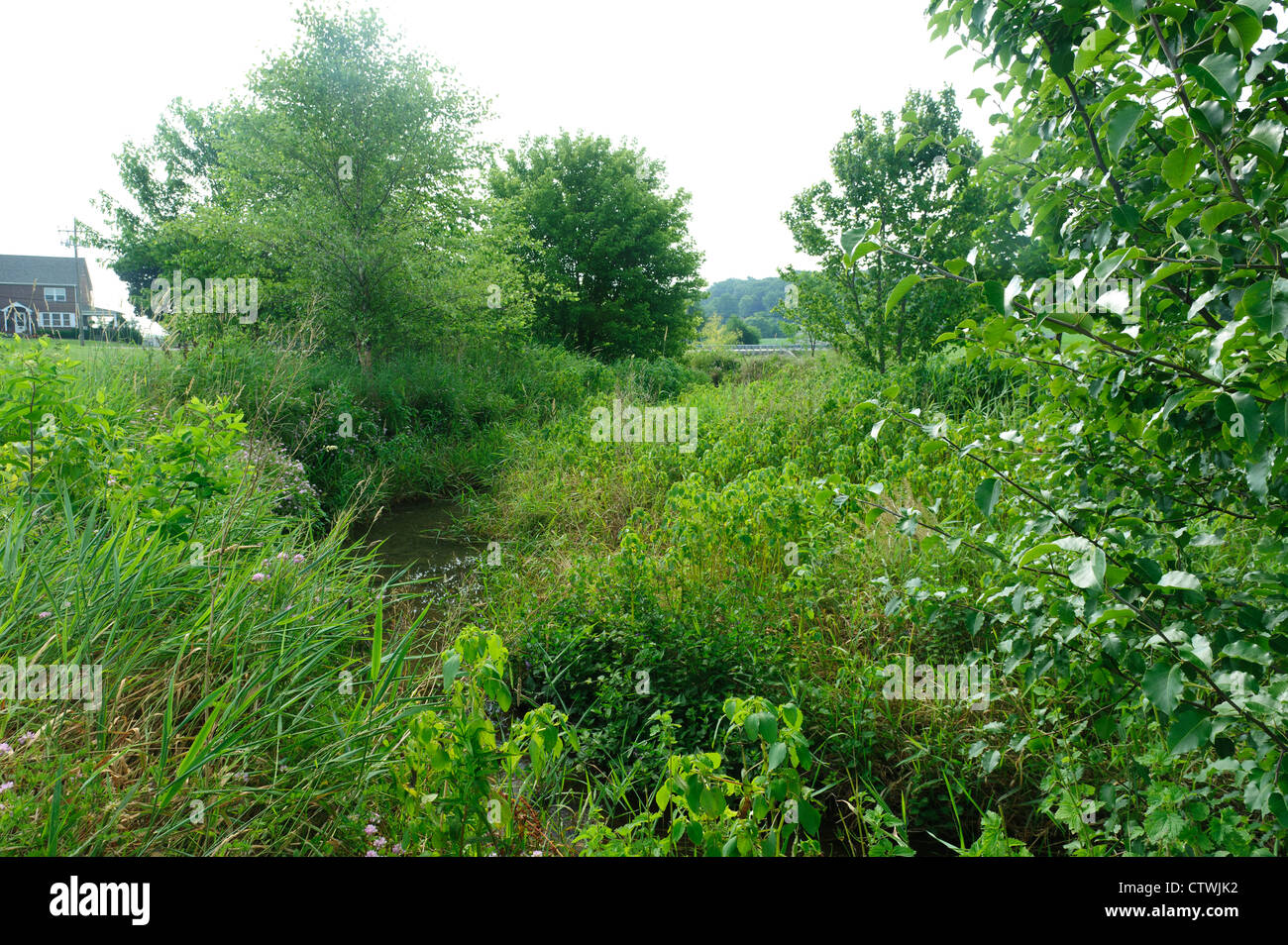 Stream buffer restoration hi-res stock photography and images - Alamy