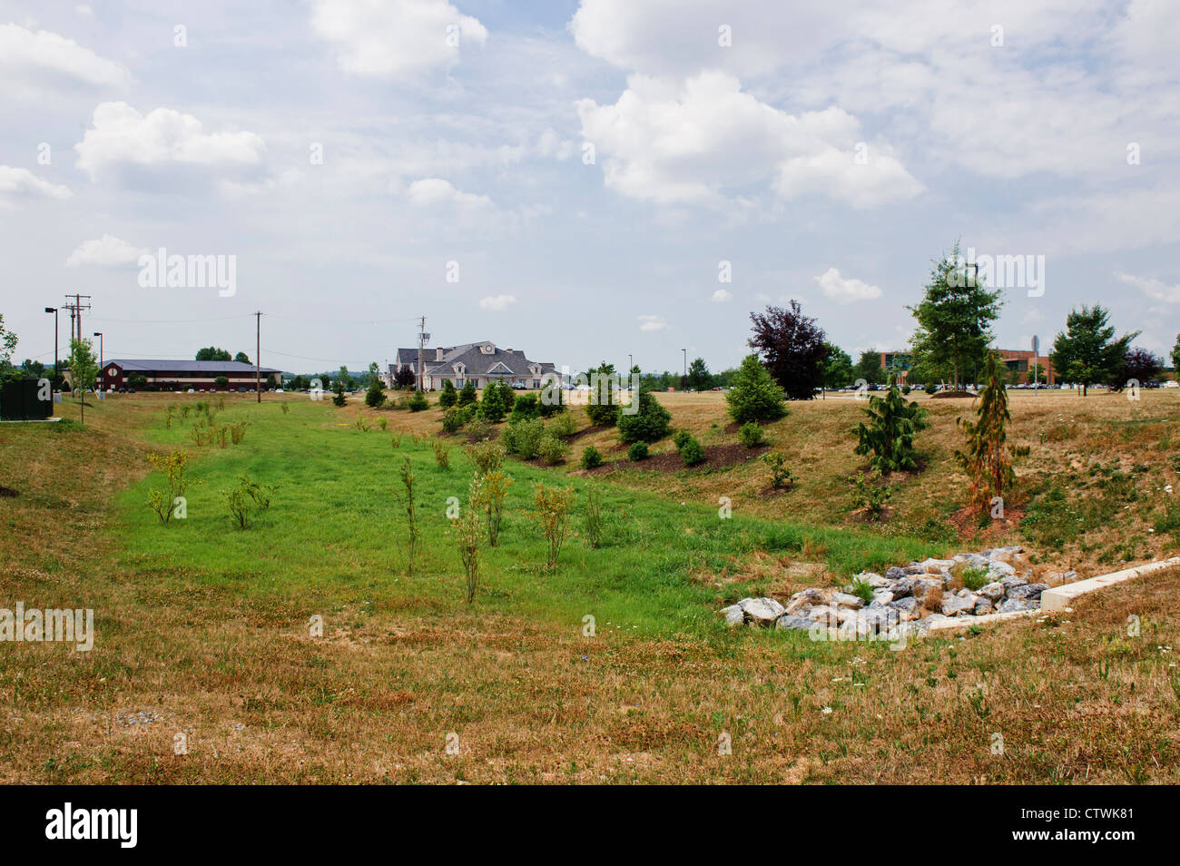 BIORETENTION BASIN WITH LUSH GRASSES AND NATIVE TREES USED TO MANAGE ...