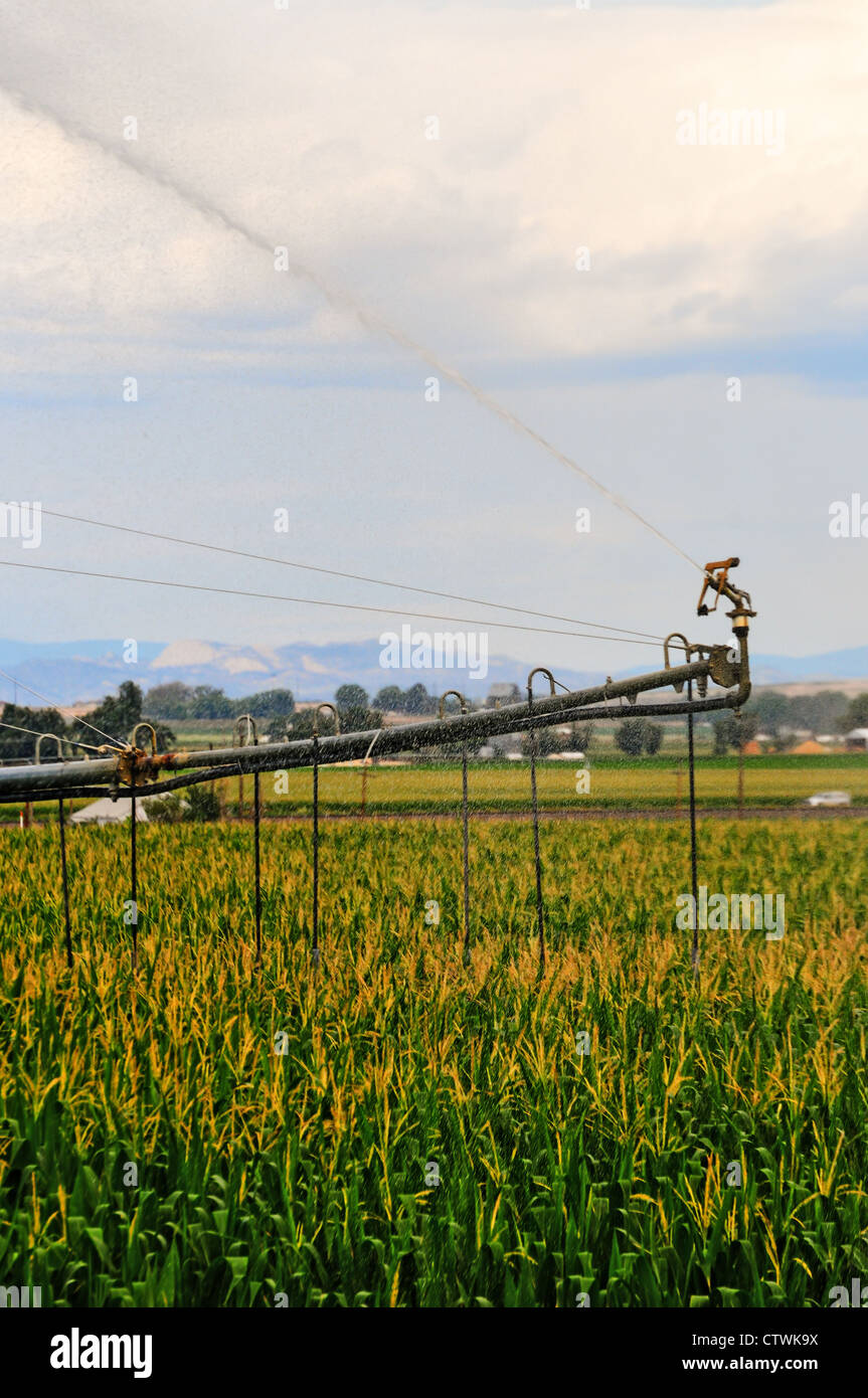 Center pivot irrigation system Stock Photo - Alamy