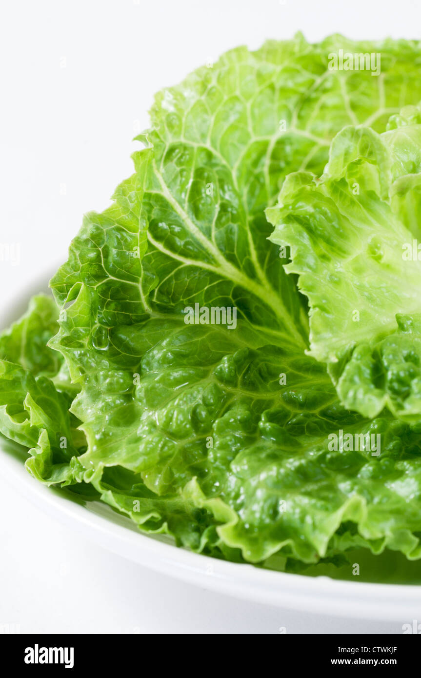 Lettuce leaves on a white plate Stock Photo - Alamy