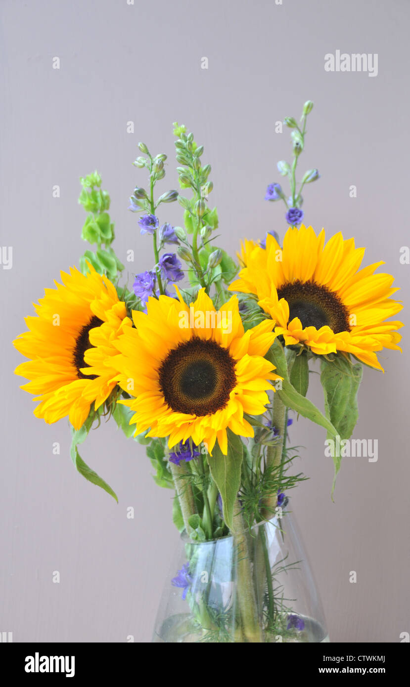 Sunflowers vase hi-res stock photography and images - Alamy