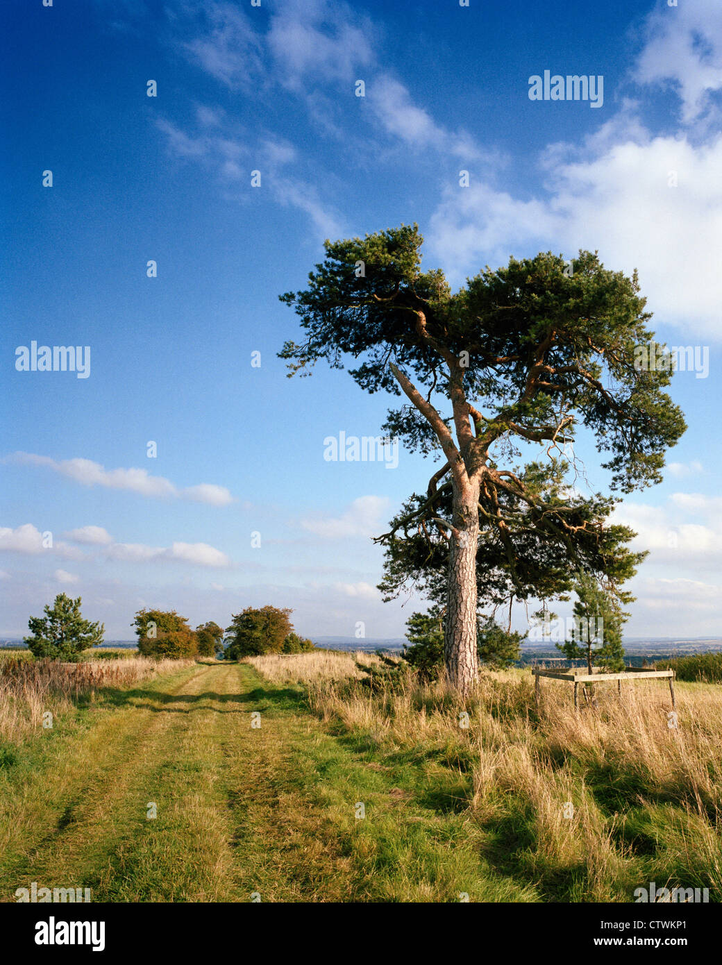 Howardian hills hi-res stock photography and images - Alamy