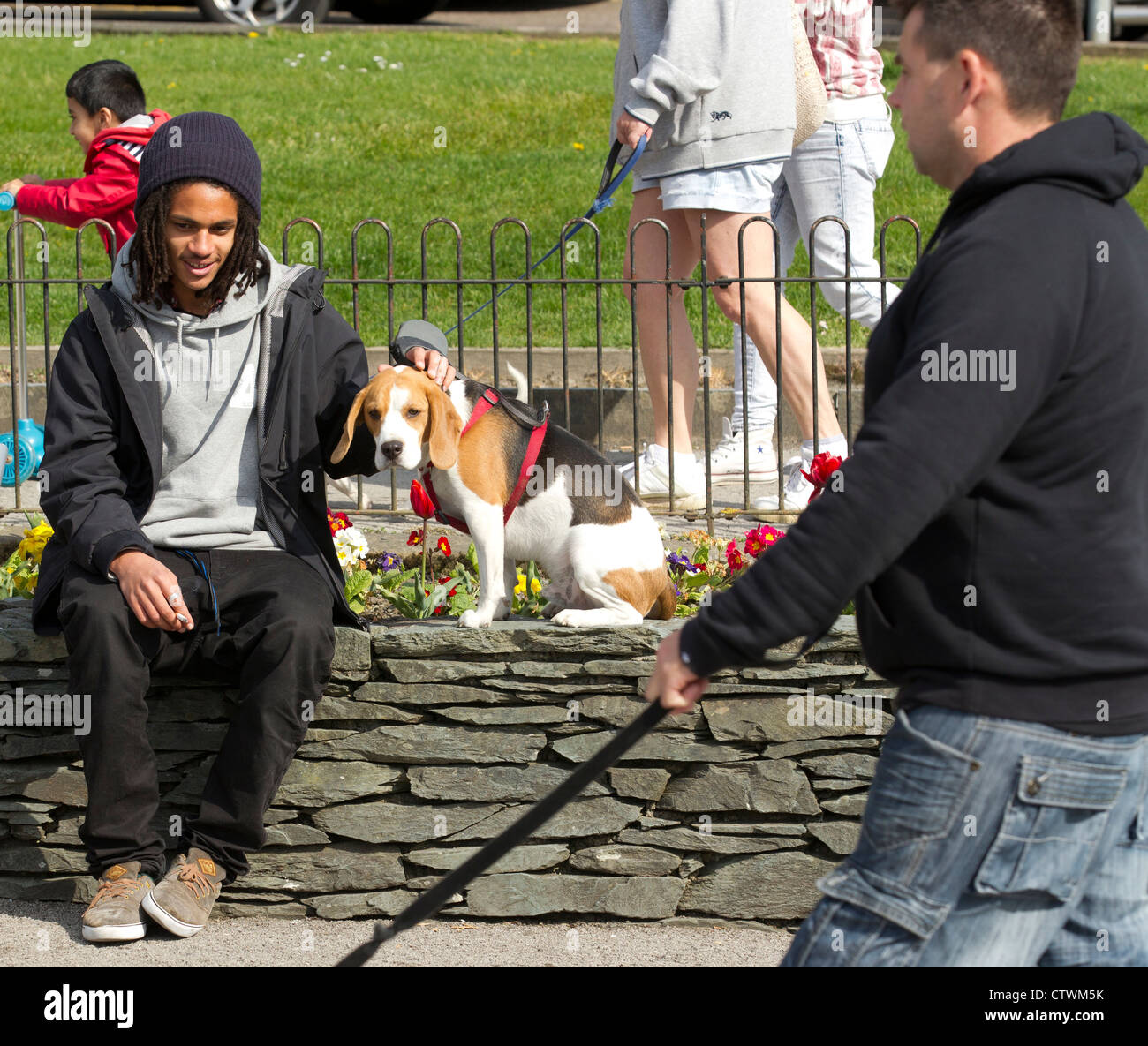 Rasta Dog Stock Photos & Rasta Dog Stock Images - Alamy