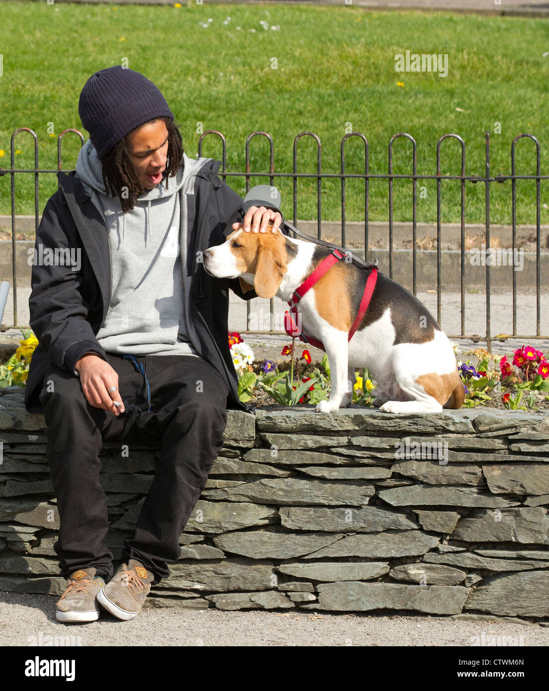 Rasta dog hi-res stock photography and images - Alamy