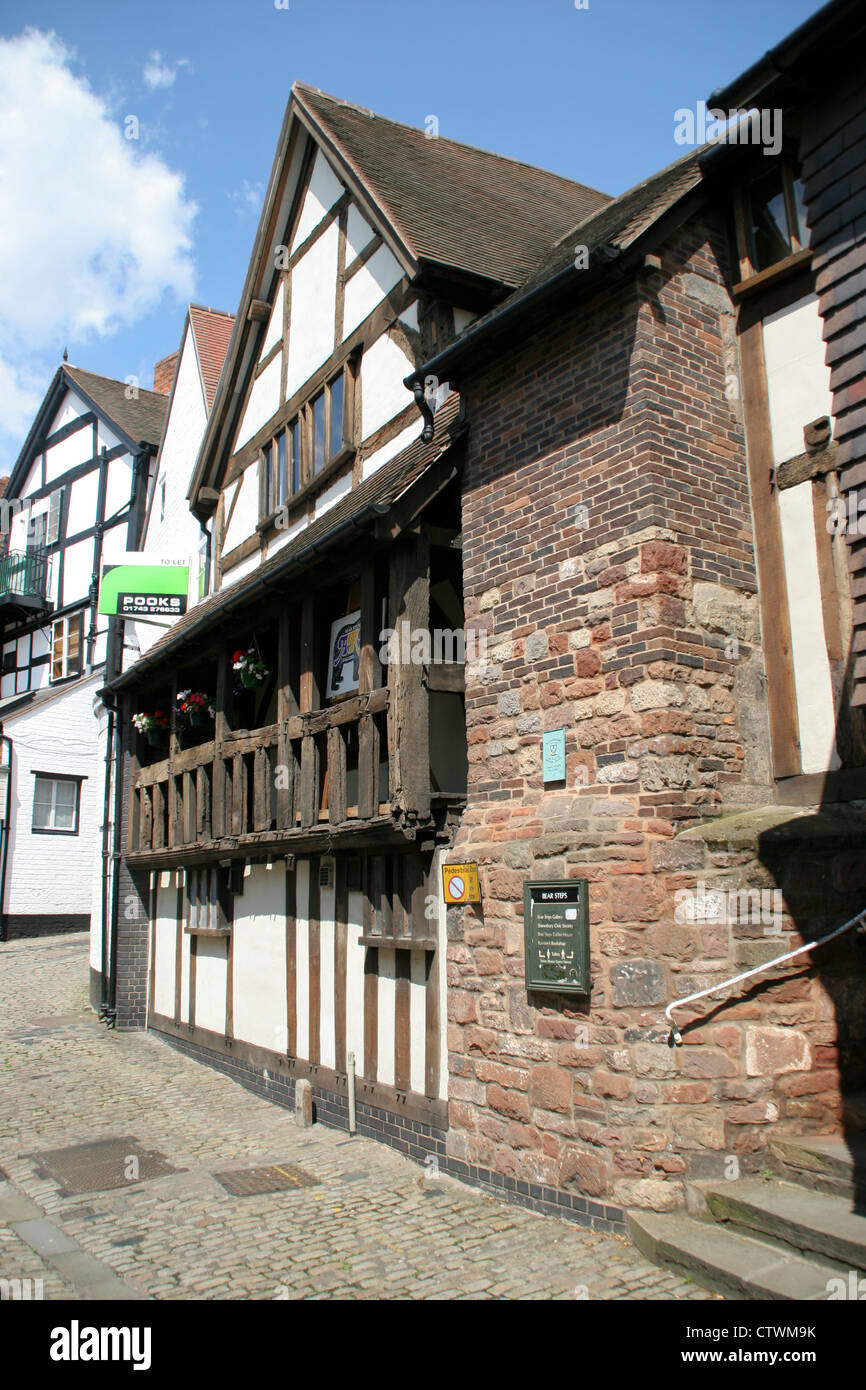 Bear steps hi-res stock photography and images - Alamy