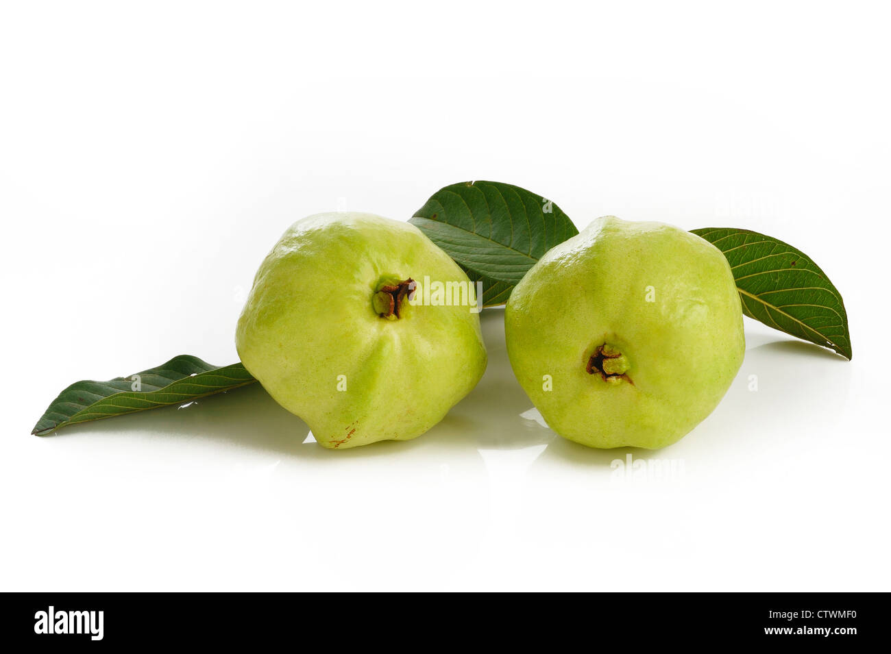 guava with leaf isolated on white background Stock Photo - Alamy