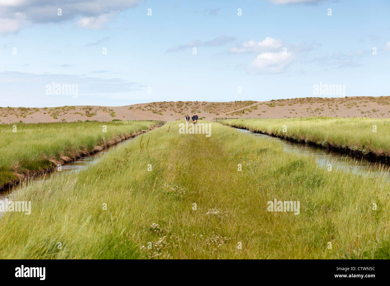 The conservation and wildlife protection wetland between Cley and ...