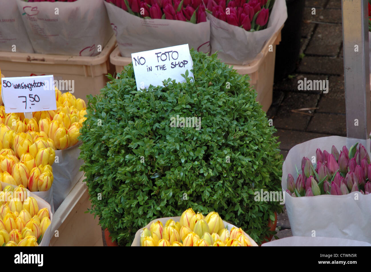 Flowers and No Foto warning sign outside shop in Amsterdam, Netherlands ...