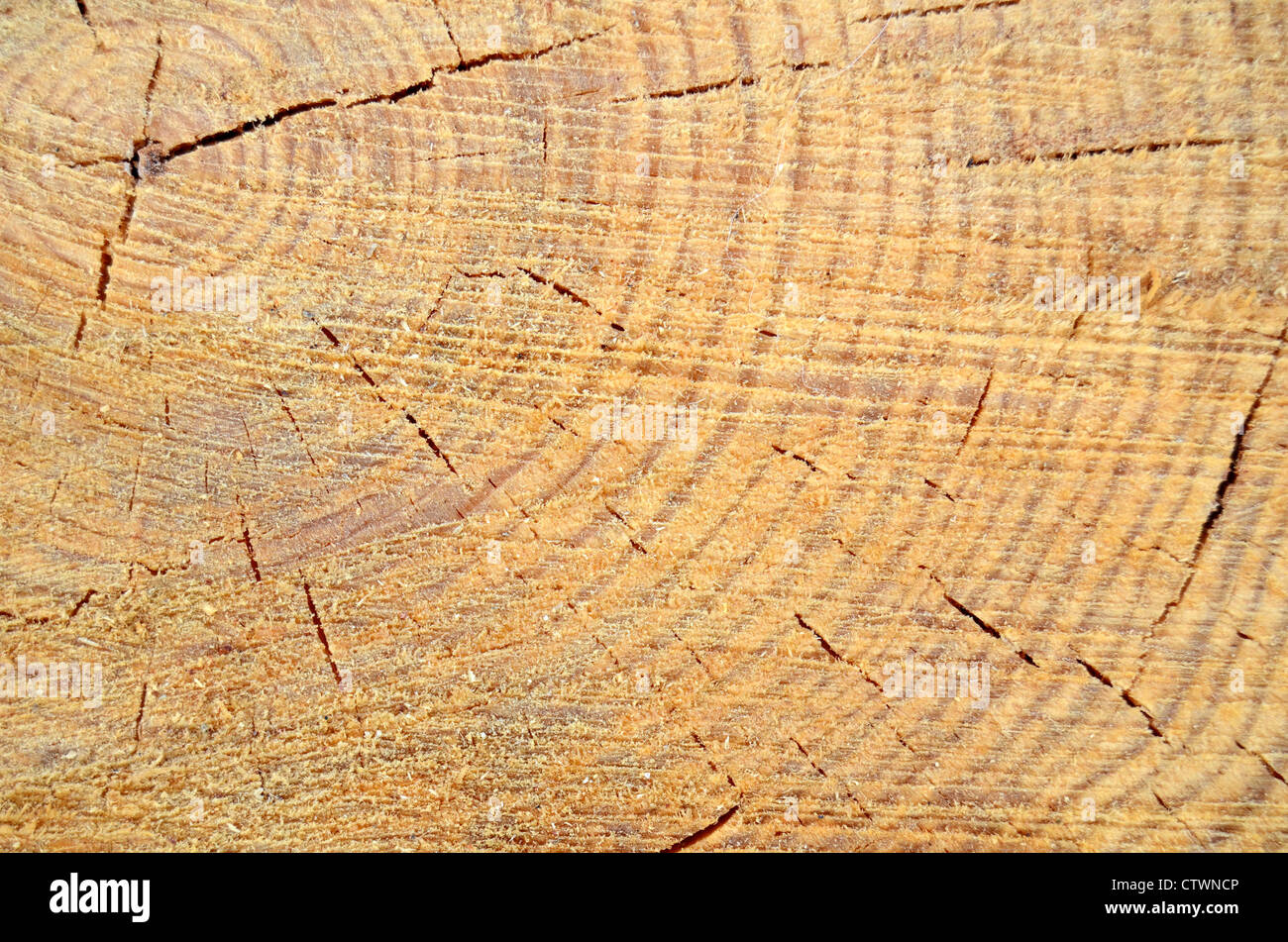 Woode texture hi-res stock photography and images - Alamy