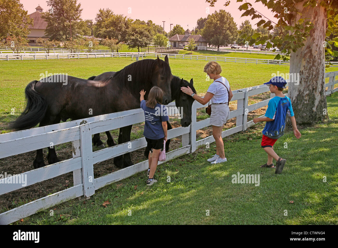 Kentucky Horse Breeders Farm near Lexington;Kentucky and the Horse Park ...
