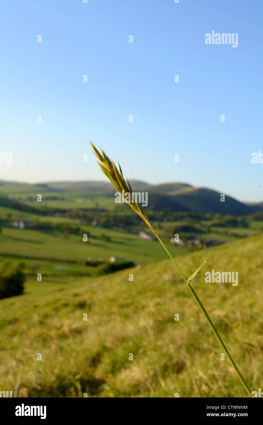 Highlands and borders hi-res stock photography and images - Alamy
