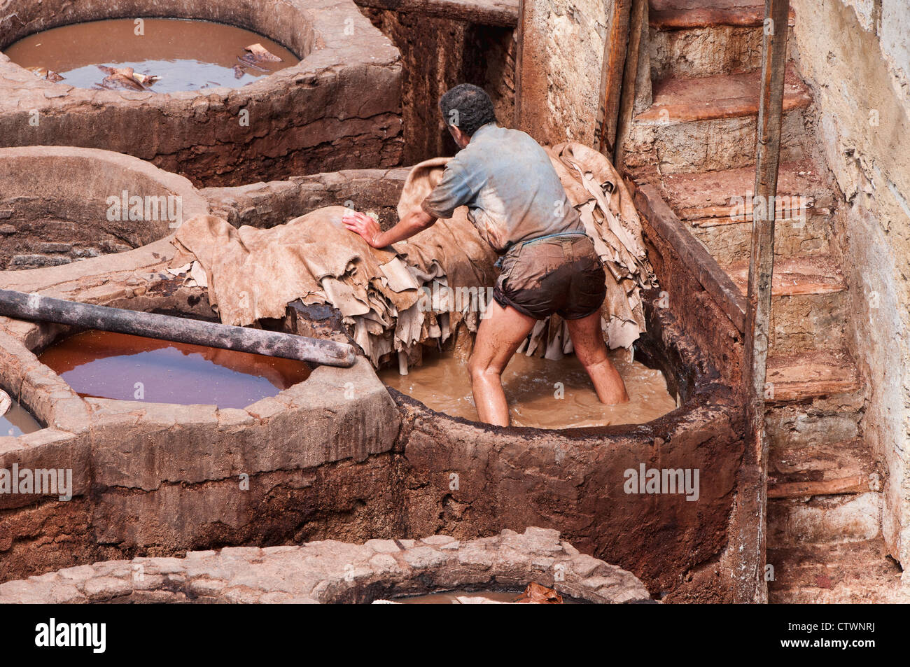 worker in the thousand year old leather tannery in the ancient medina ...