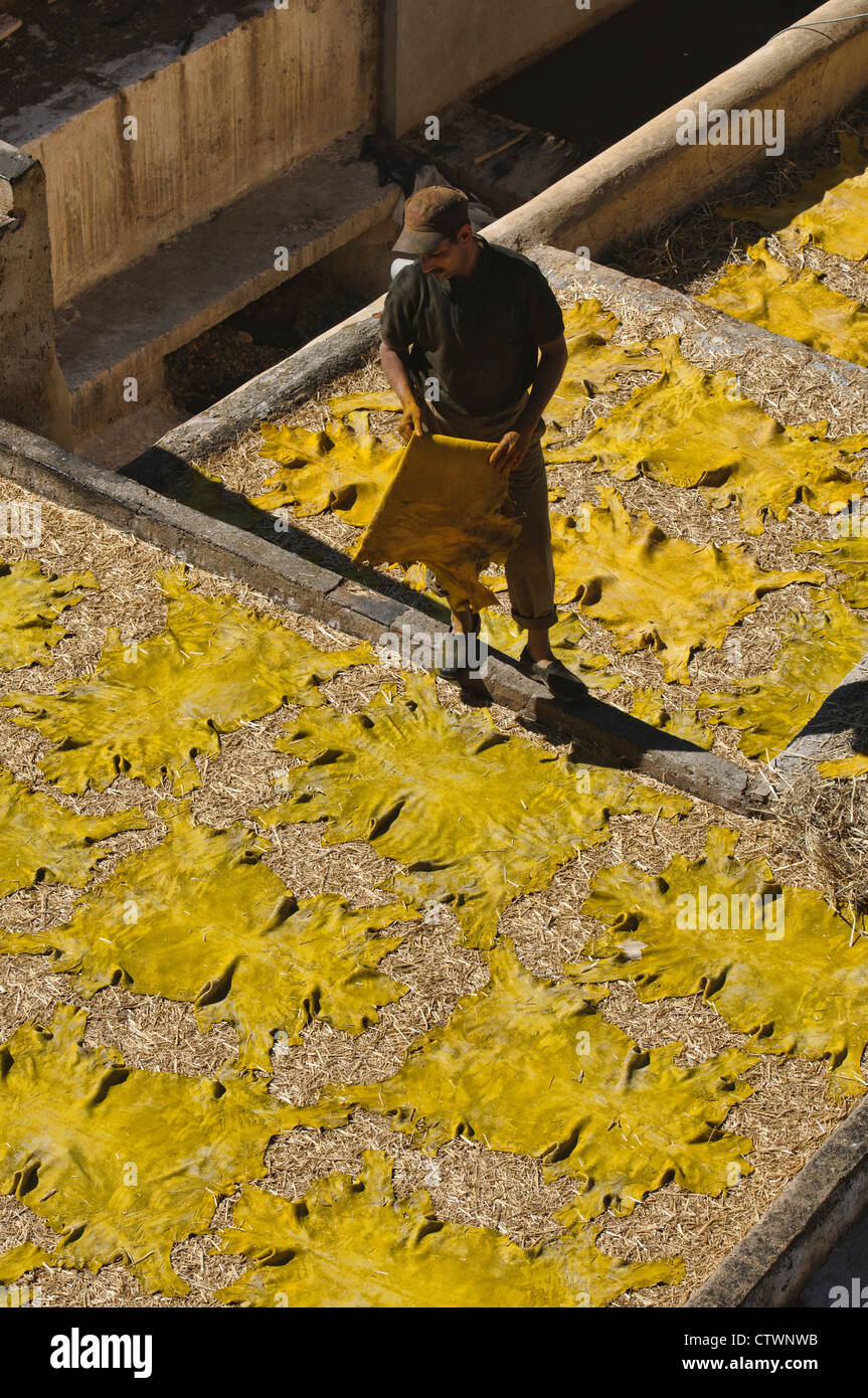 worker in the thousand year old leather tannery in the ancient medina ...