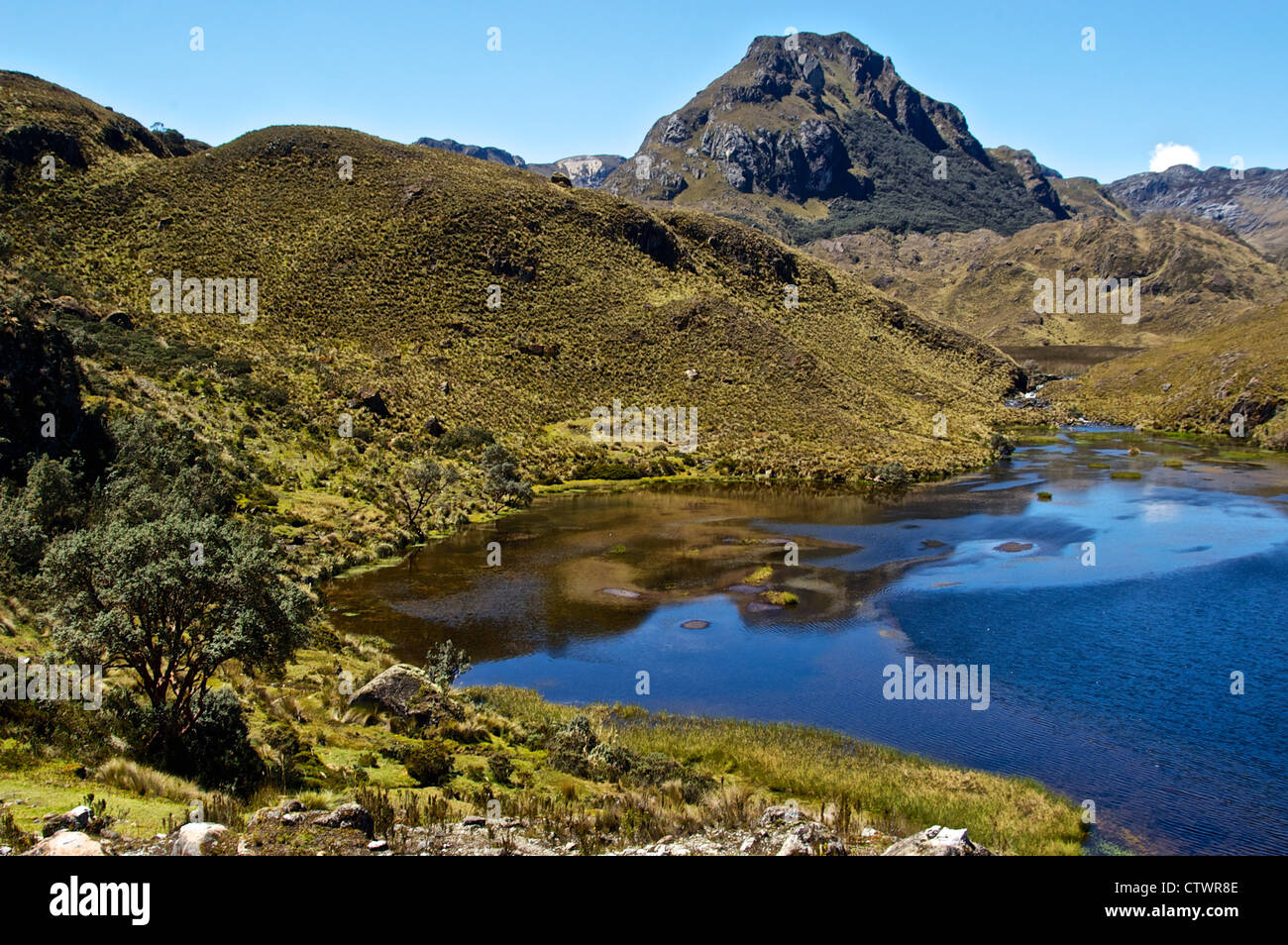 Beautiful landscape of Parque Cajas, Ecuador Stock Photo - Alamy
