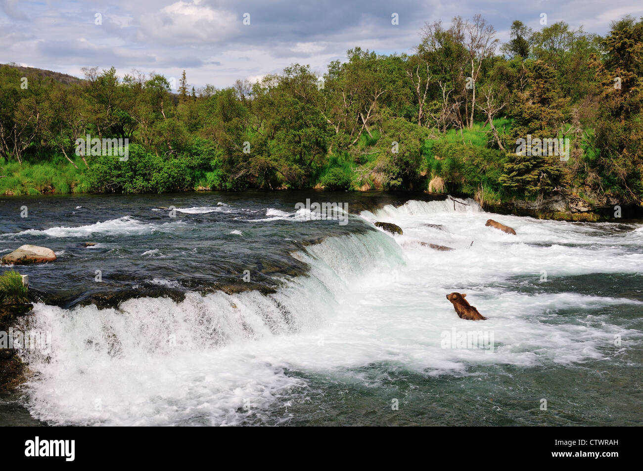 Brooks falls hi-res stock photography and images - Alamy
