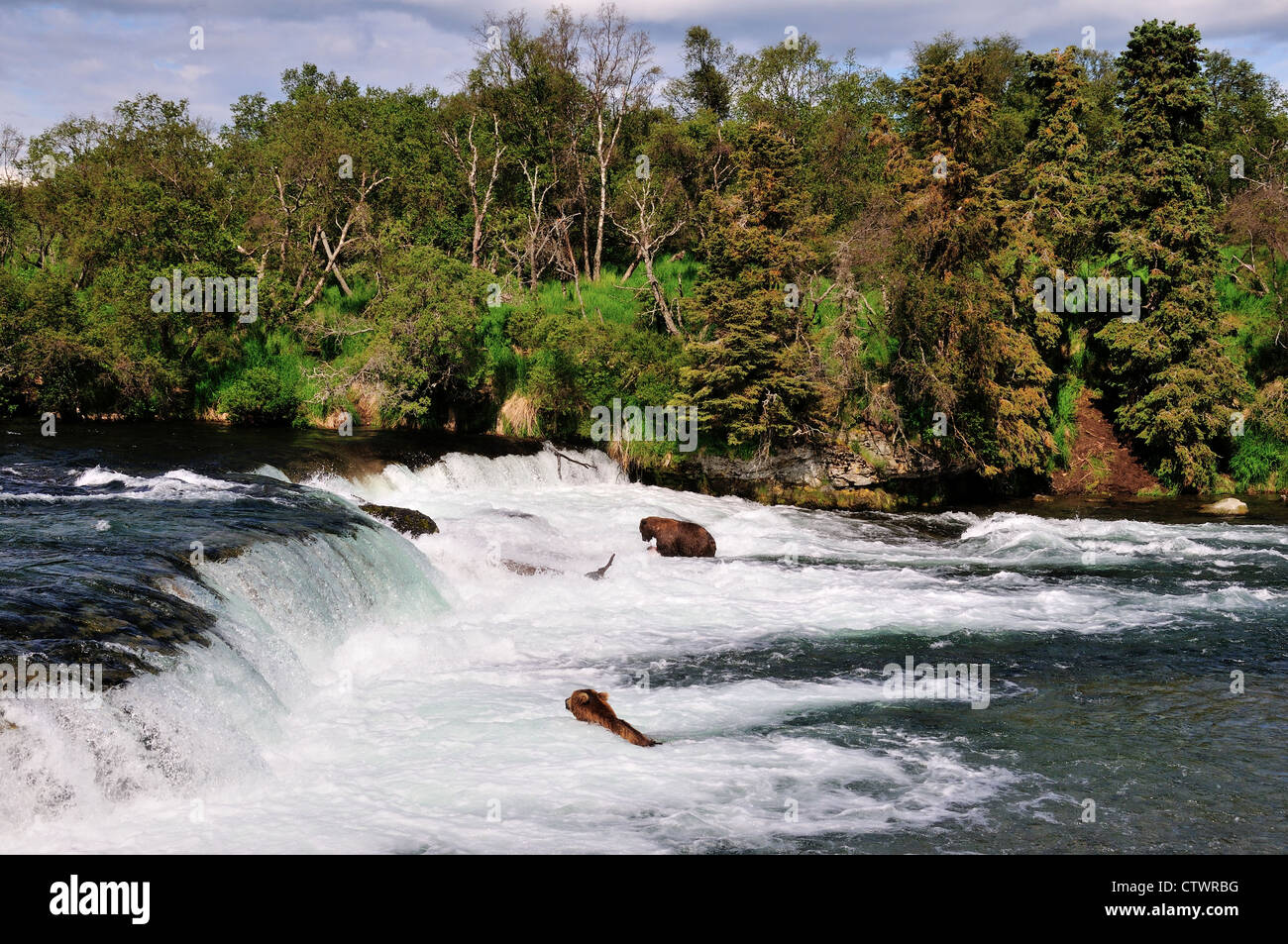 Brooks falls hi-res stock photography and images - Alamy