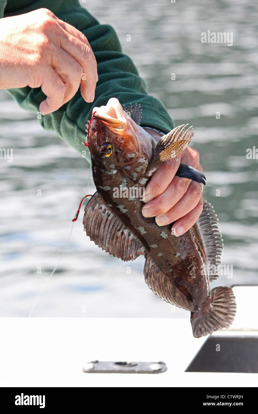 Alaska part one hi-res stock photography and images - Alamy